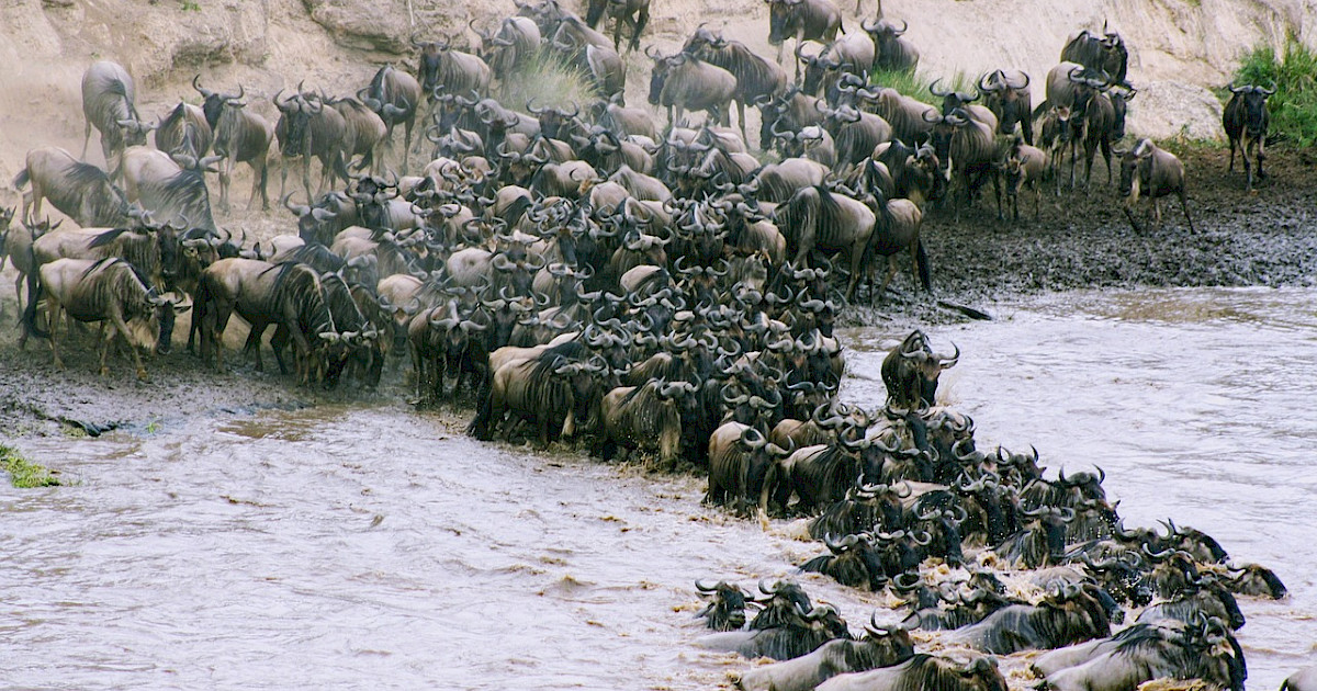 8 Days Wildebeest Migration Safari in Tanzania and Kenya